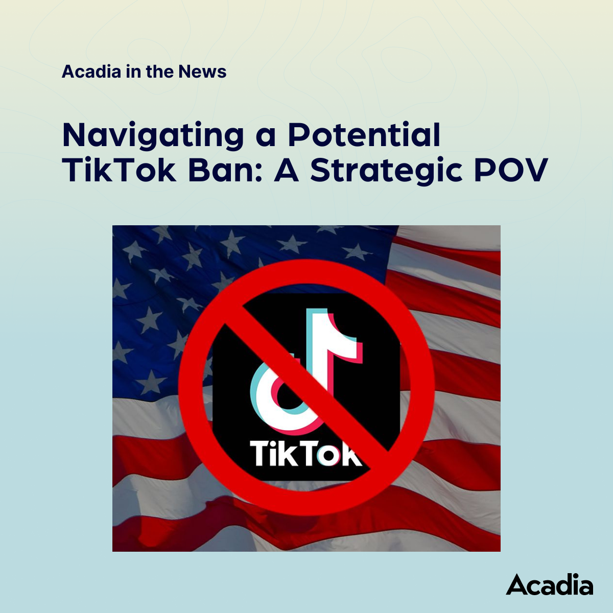Navigating a Potential TikTok Ban: A Strategic POV and Recommendations ...